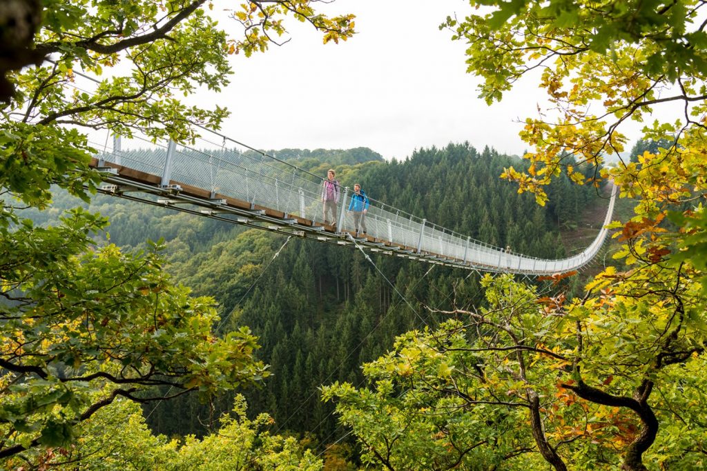 What a View—Geierlay Rope Bridge – German Life